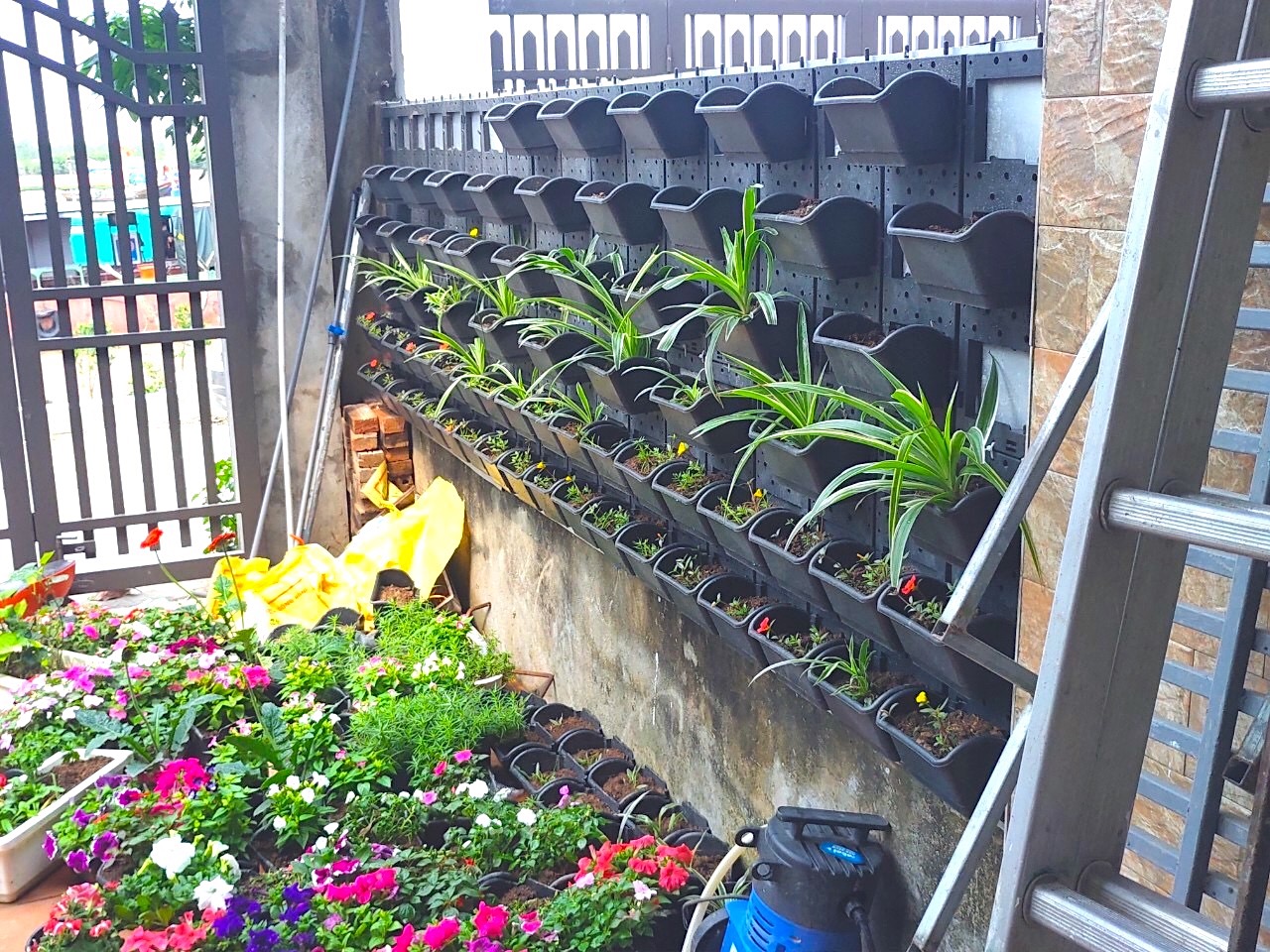 Trồng rau tại nhà, trồng cây tại căn hộ chung cư với vườn đứng HOLO ...